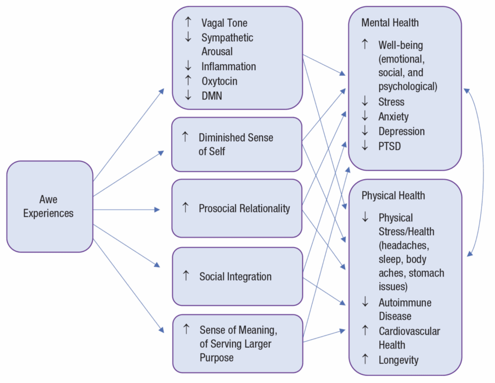 Everyday Awe: An Empirical Approach to Art Therapy