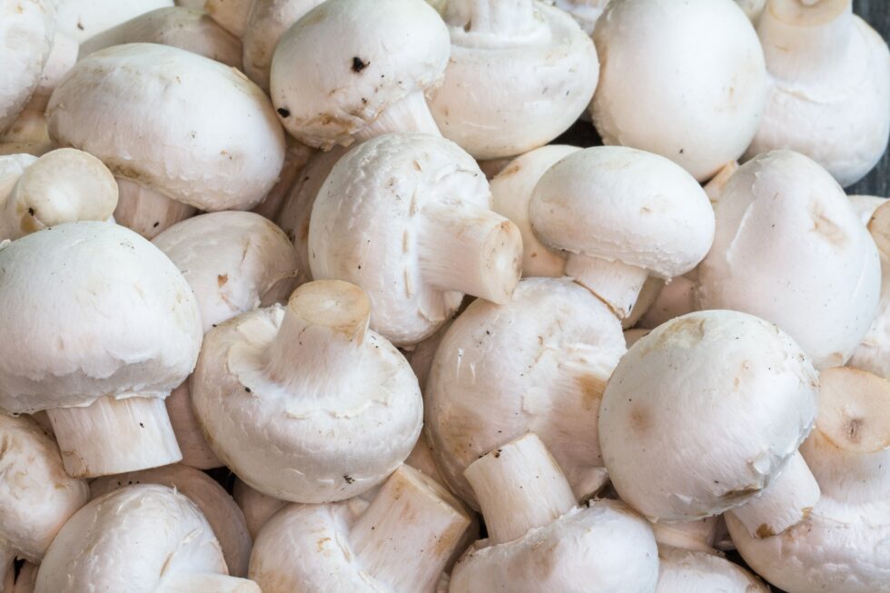 Is Castor Oil Safe for Weight Loss? Fact vs. Fiction